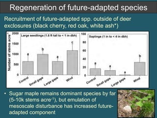 Real-World Examples of Forest Adaptation | PPT
