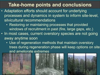 Real-World Examples of Forest Adaptation | PDF
