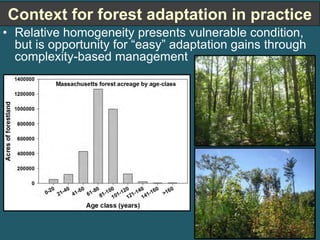 Real-World Examples of Forest Adaptation | PDF