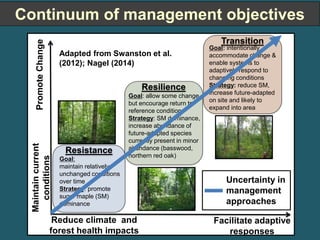 Real-World Examples of Forest Adaptation | PDF