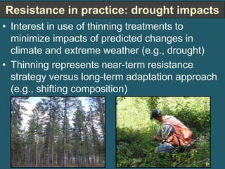 Real-World Examples of Forest Adaptation | PDF