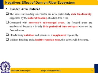 Impact of Building Dam on River Ecosystem and Its Preventive Measures ...