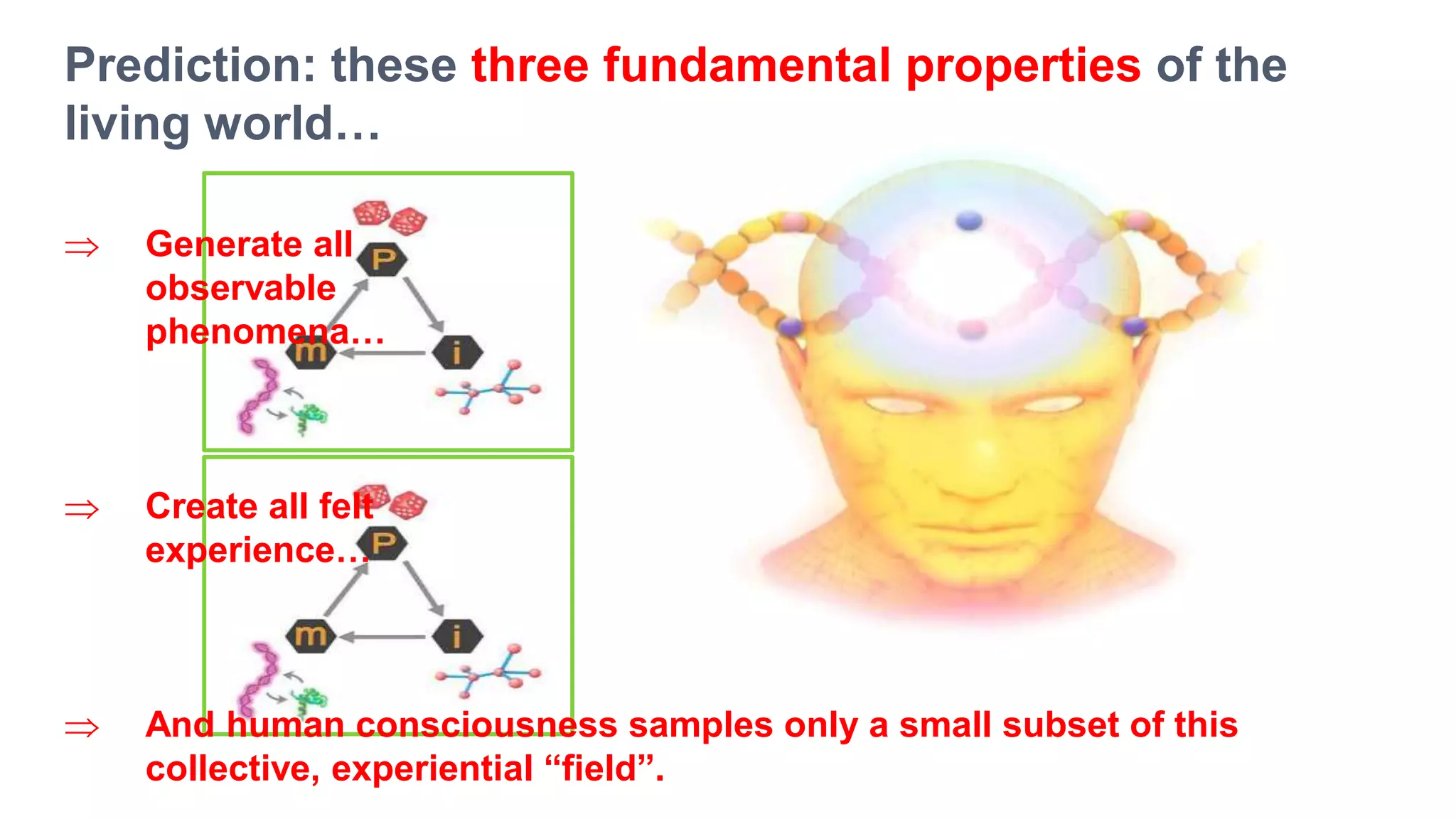 Dr. Bruce Damer: Hot Spring Hypothesis of the Origin of Life & Future ...
