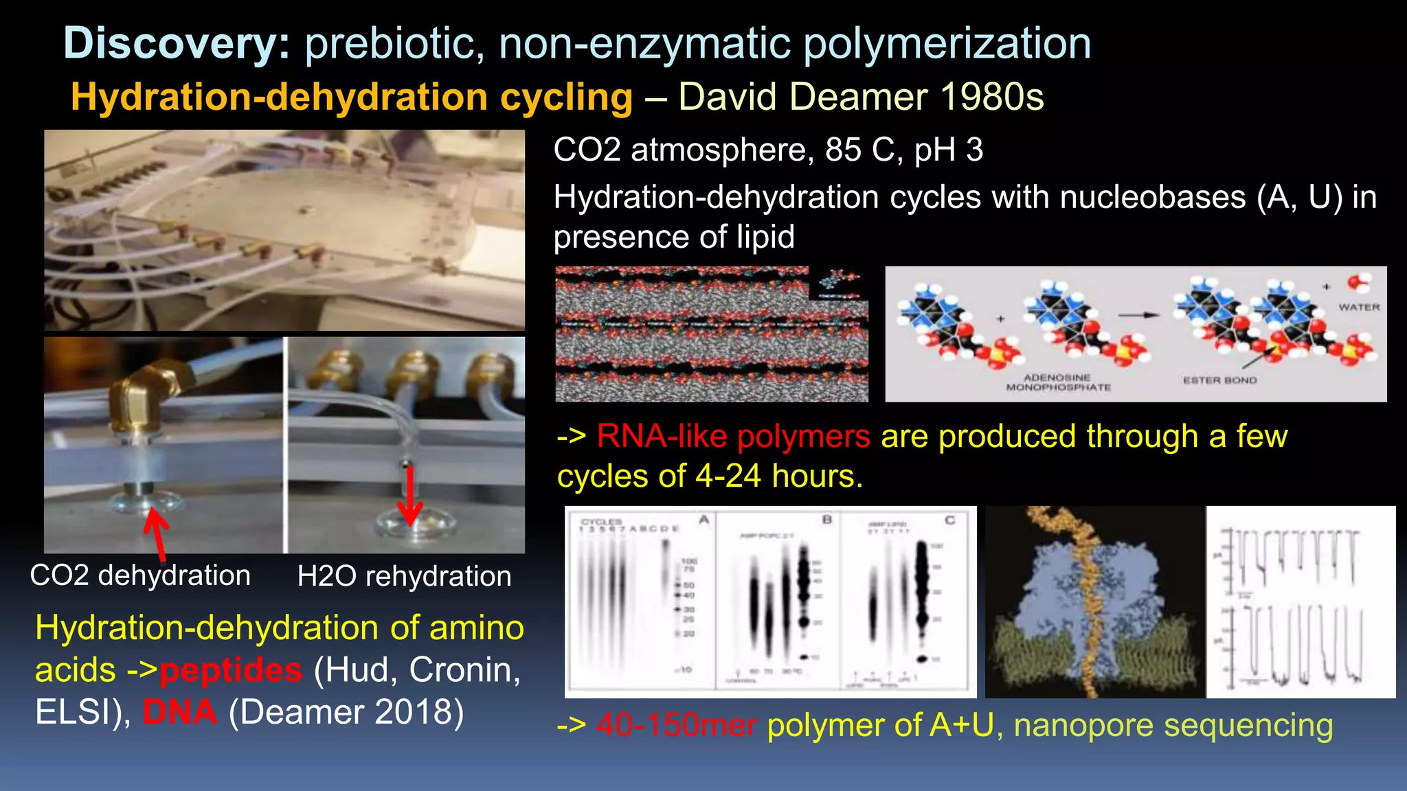 Dr. Bruce Damer: Hot Spring Hypothesis of the Origin of Life & Future ...