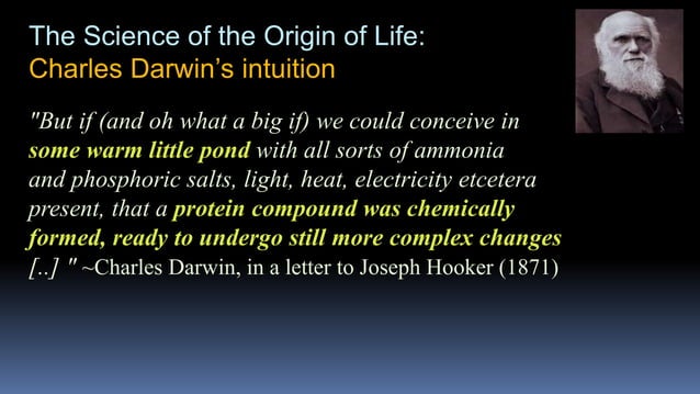 Dr. Bruce Damer: Hot Spring Hypothesis of the Origin of Life & Future ...
