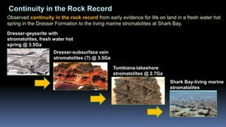Dr. Bruce Damer: Hot Spring Hypothesis of the Origin of Life & Future ...