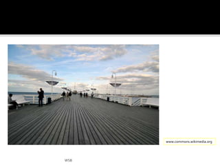 Damian mucha | PPTX | Spas | Travel Type