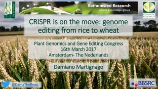 CRISPR Is On The Move: Genome Editing From Rice To Wheat | PDF ...