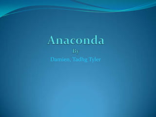 Damien tadhg tyler animal facts slide show | PPTX