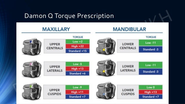 Damon system by Dr Analhaq Shaikh
