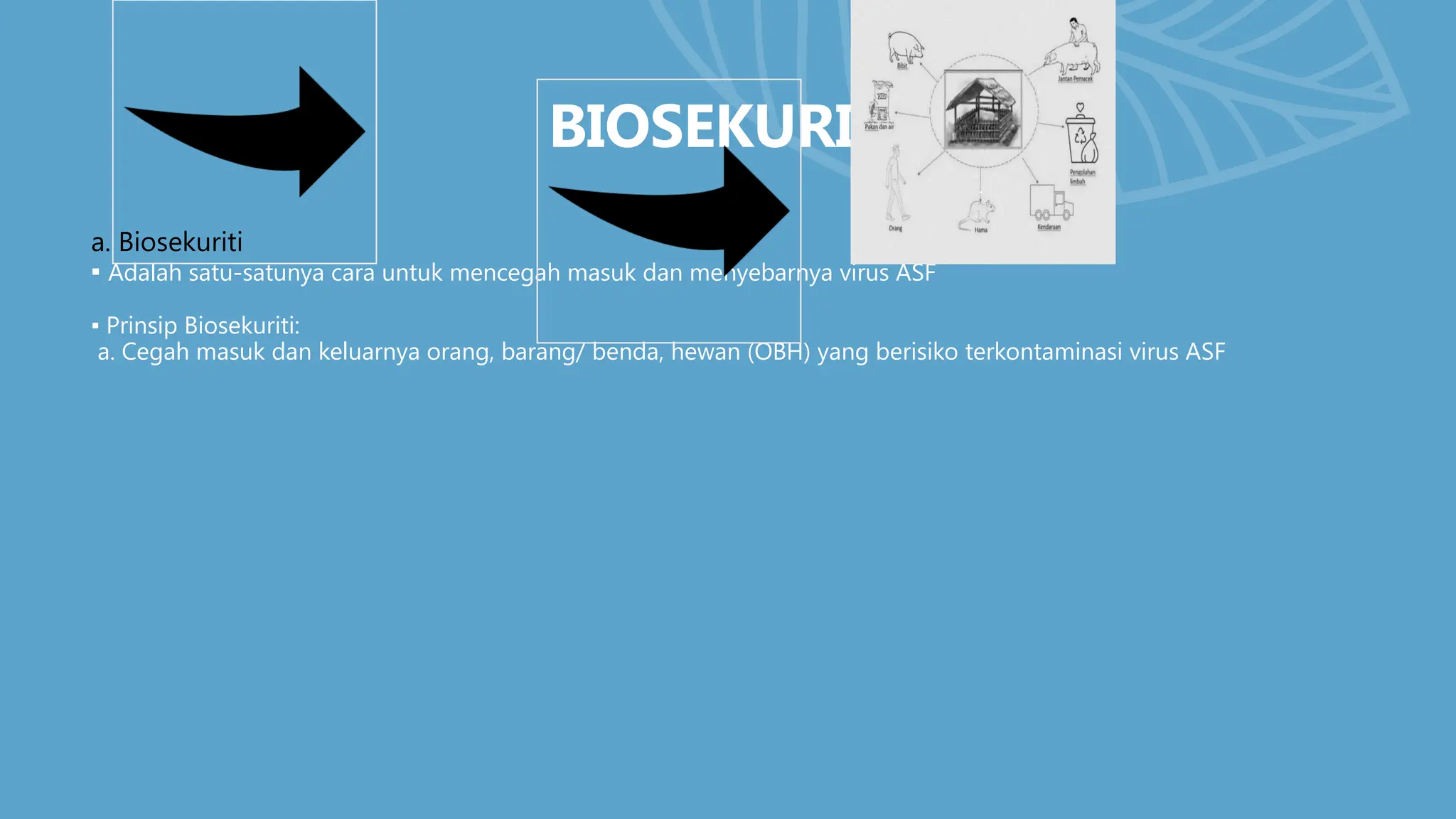 DAMPAK DAN PENGENDALIAN PENYAKIT ASF PADA PETERNAKAN BABI.pptx