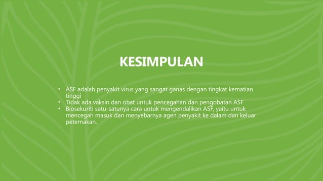 DAMPAK DAN PENGENDALIAN PENYAKIT ASF PADA PETERNAKAN BABI.pptx