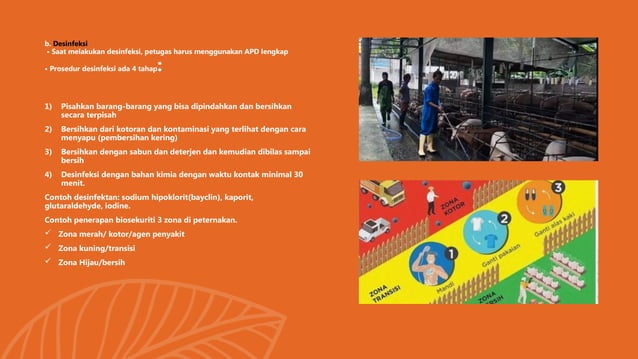 DAMPAK DAN PENGENDALIAN PENYAKIT ASF PADA PETERNAKAN BABI.pptx