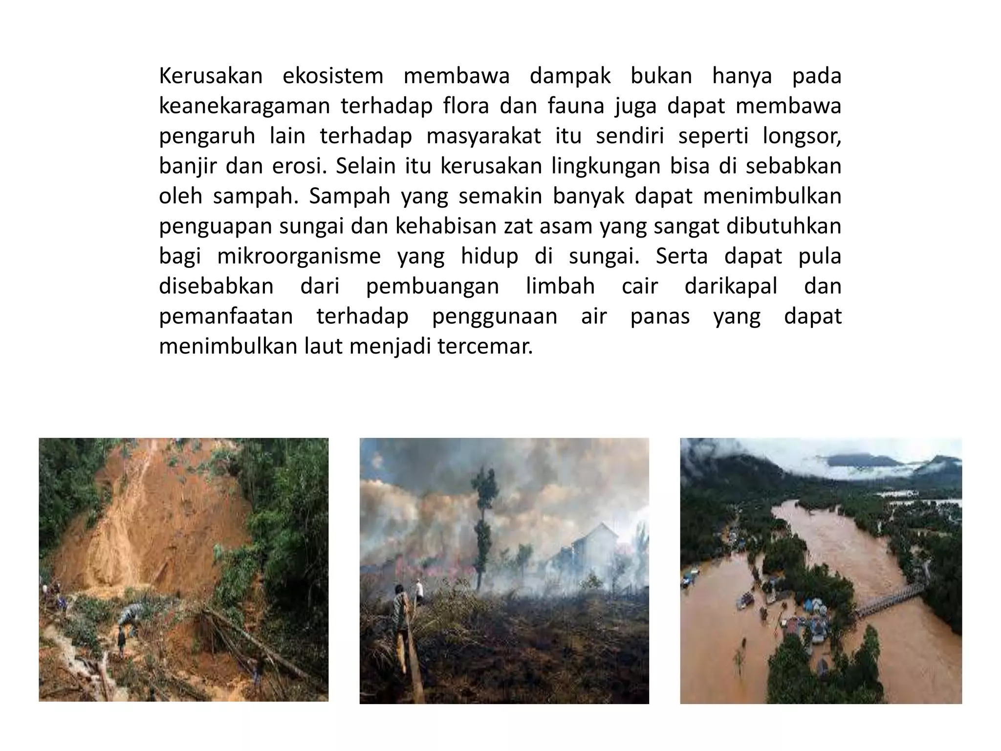 Dampak masalah kependudukan dan lingkungan hidup | PPTX