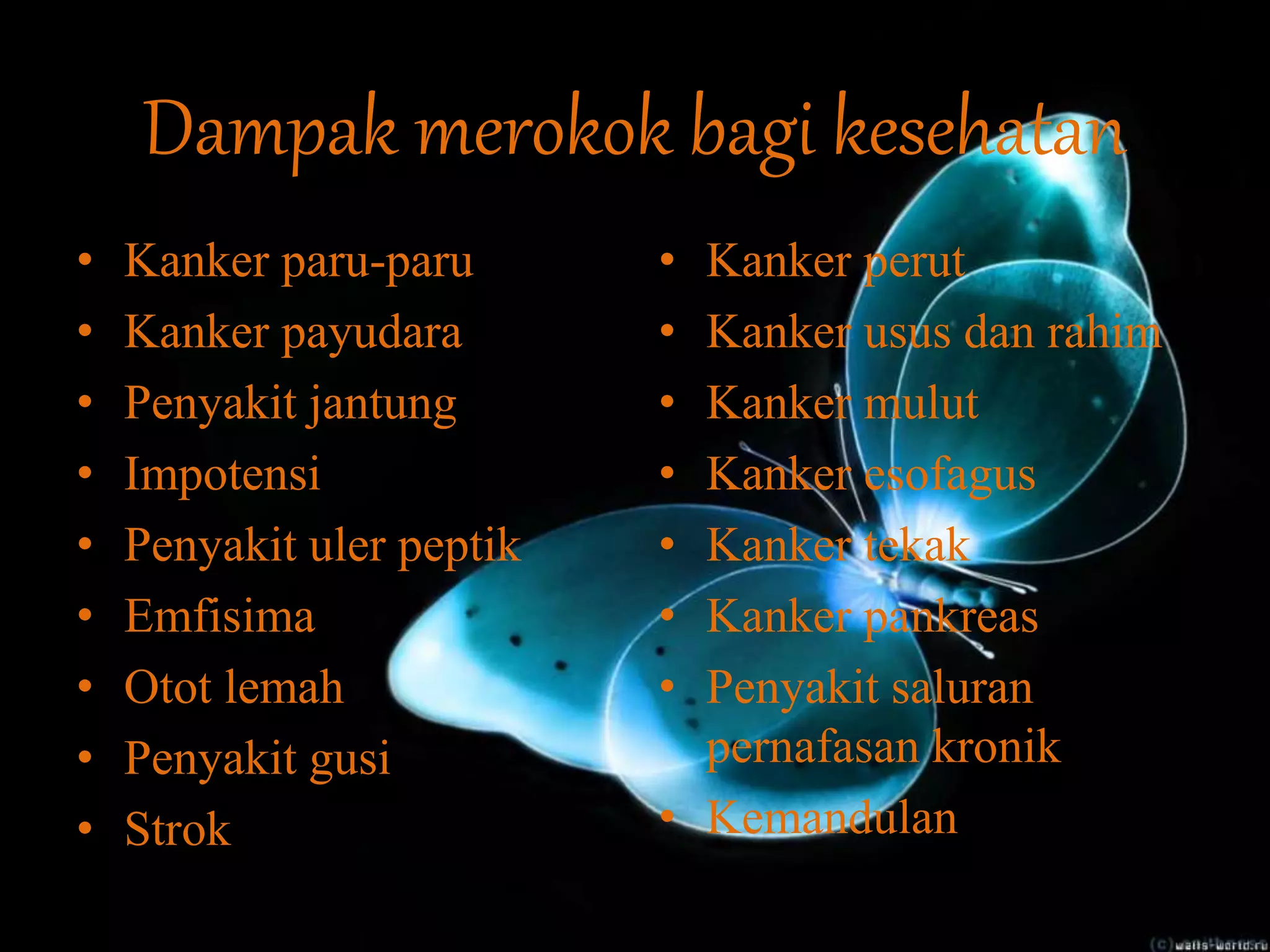 Dampak merokok pada kesehatan | PPTX