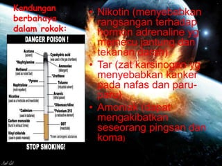 Dampak merokok pada kesehatan | PPTX