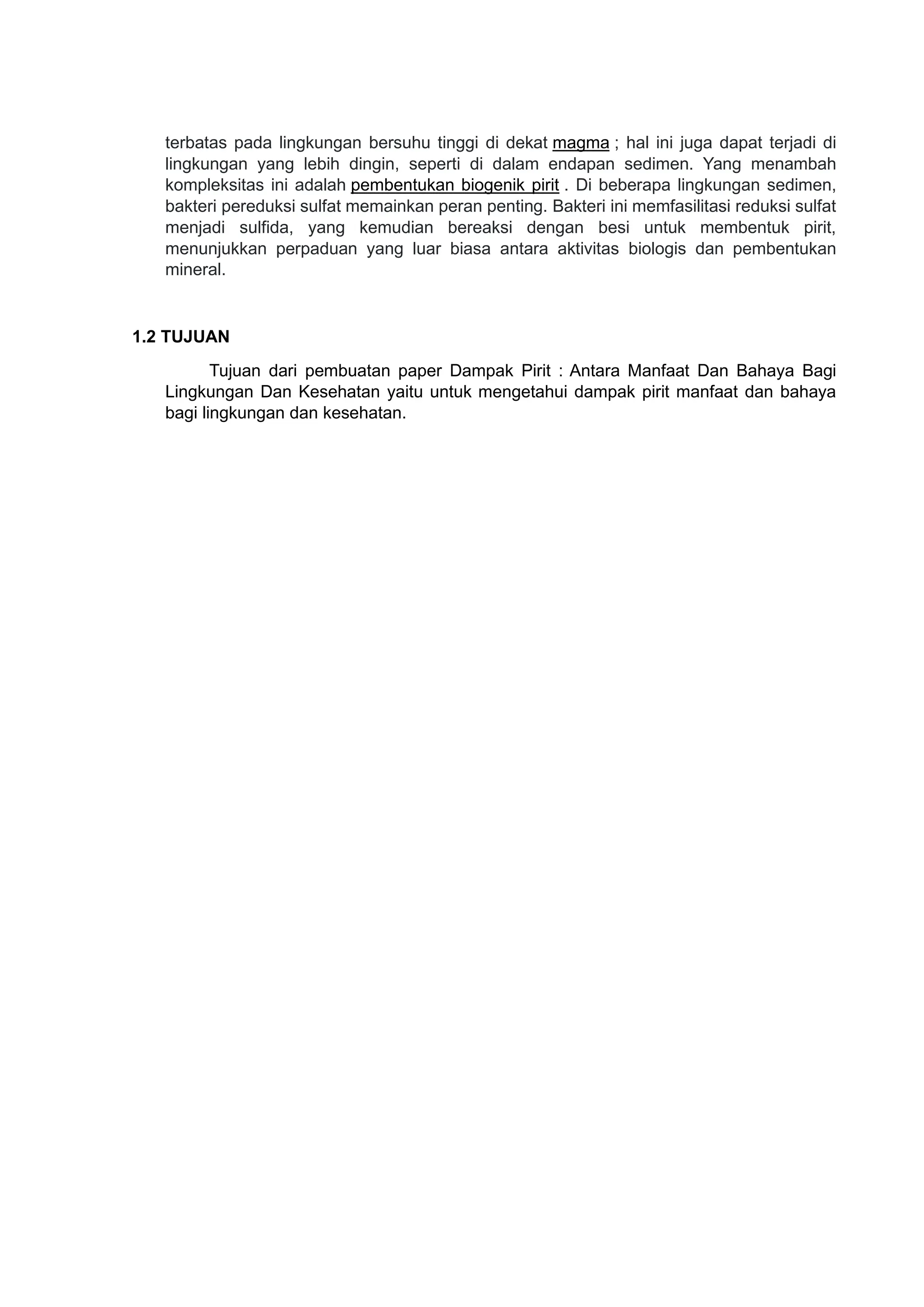 DAMPAK PIRIT ANTARA MANFAAT DAN BAHAYA BAGI LINGKUNGAN DAN KESEHATAN.pdf