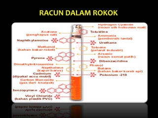 Dampak rokok 2 - Untuk SMP, SMA dan UMUM | PPT