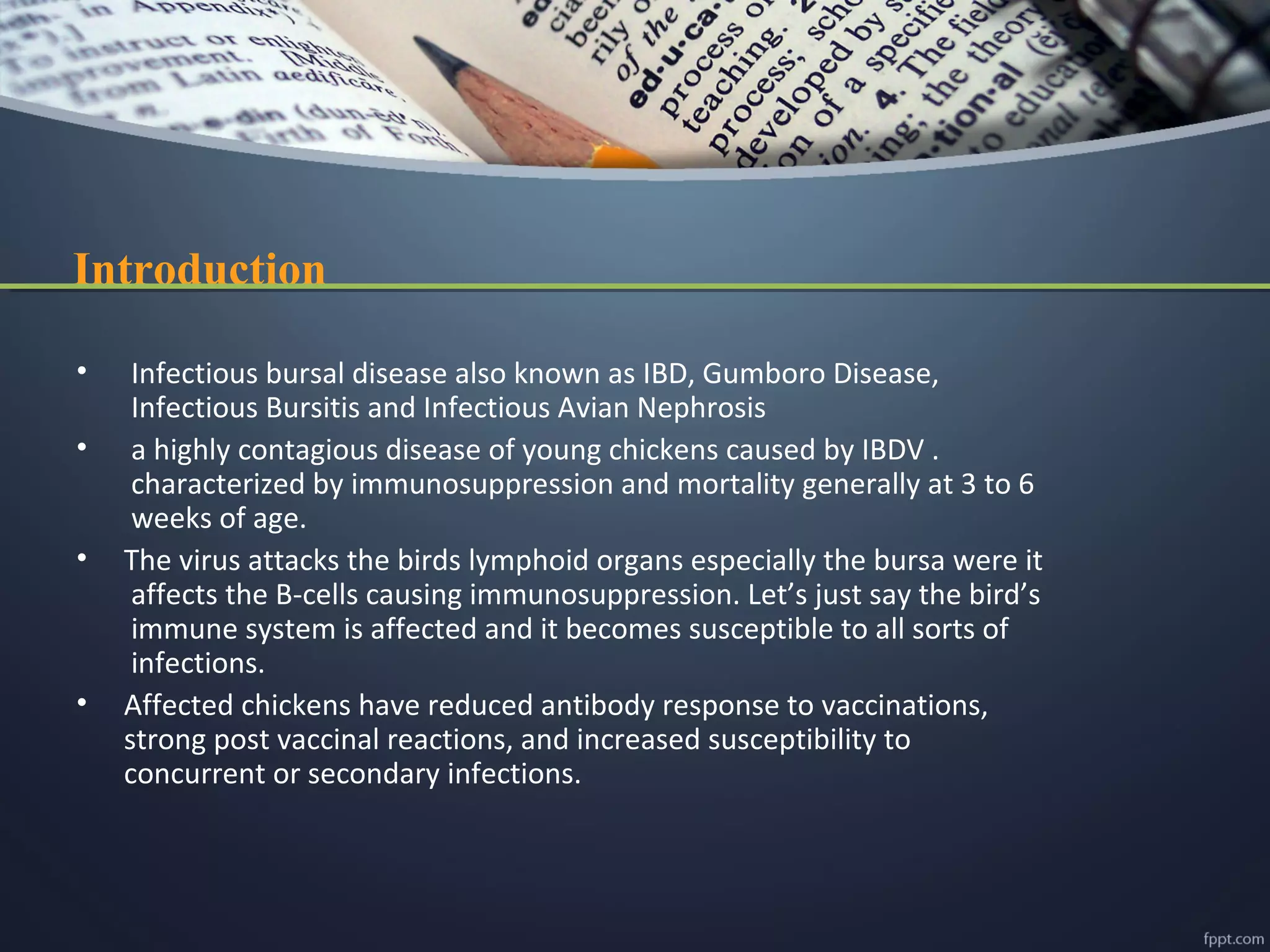 Gumboro_Disease Infectious Bursal Disease (IBD) | PPT