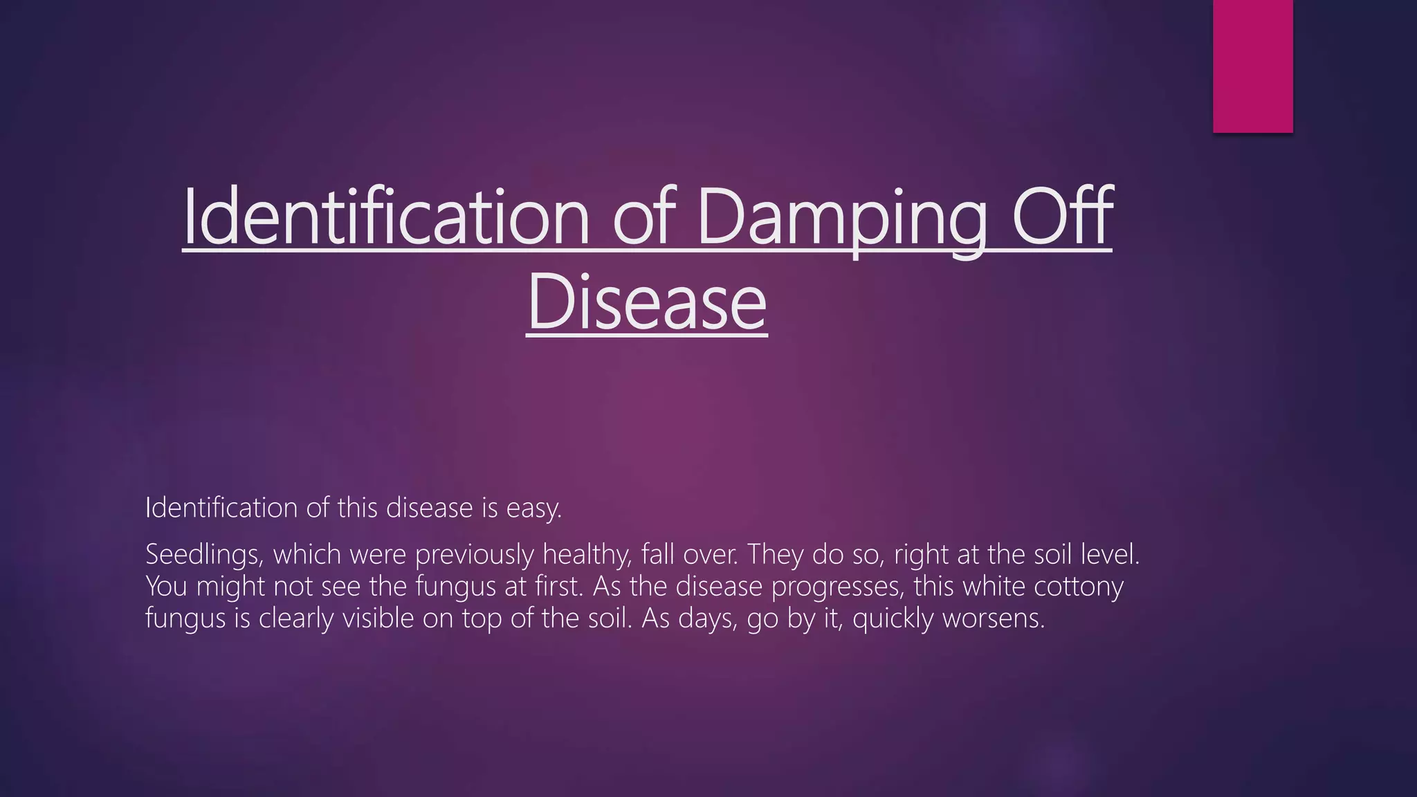 Damping-off |Symptoms, Causes, Control and Management | PPTX