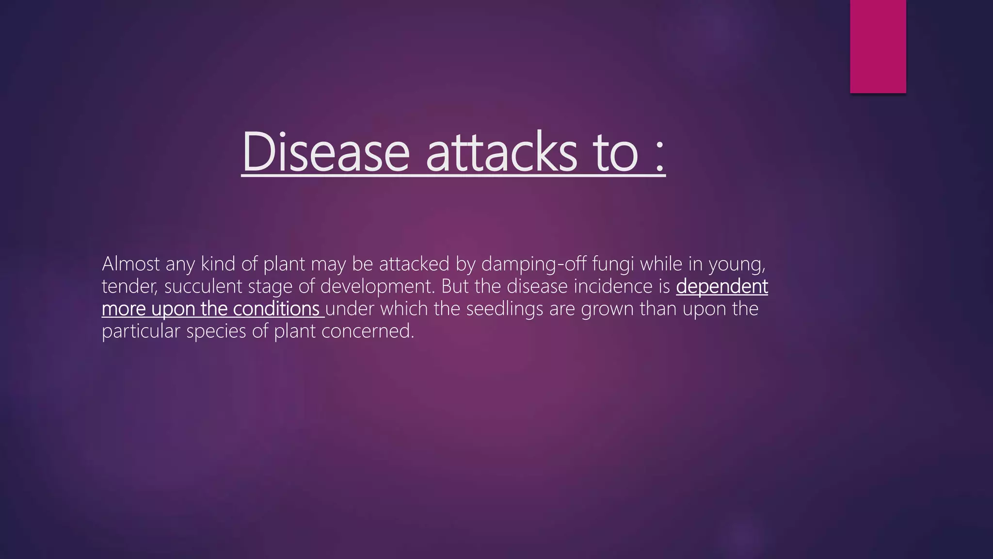 Damping-off |Symptoms, Causes, Control and Management | PPTX