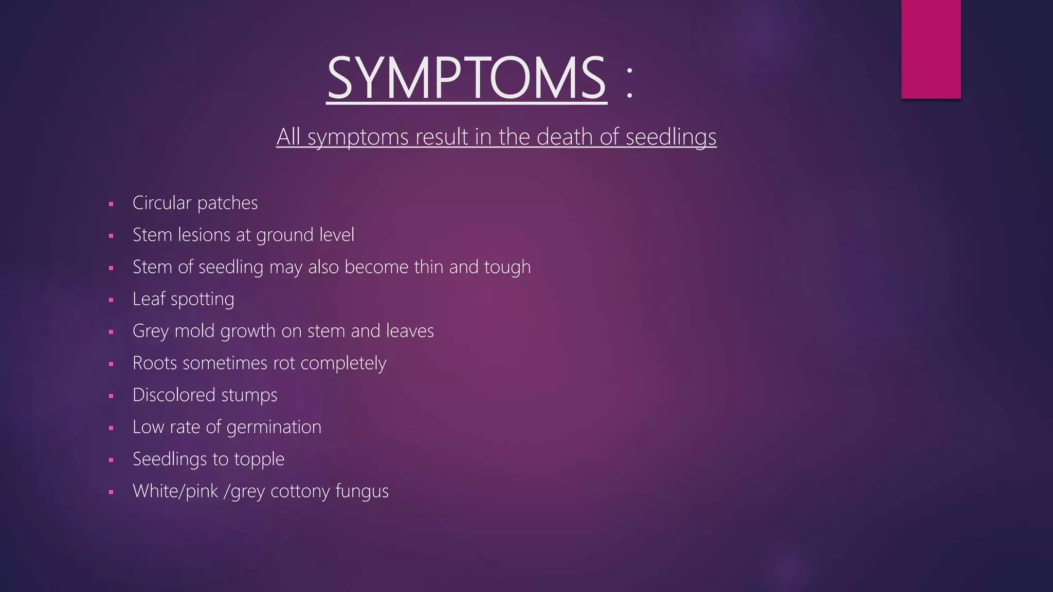 Damping-off |Symptoms, Causes, Control and Management | PPTX