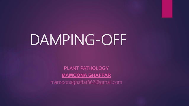 Damping-off |Symptoms, Causes, Control and Management | PPTX ...