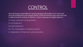 Damping-off |Symptoms, Causes, Control and Management | PPTX