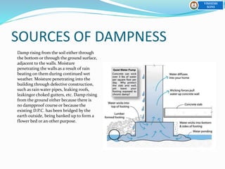 Dampness | PPTX