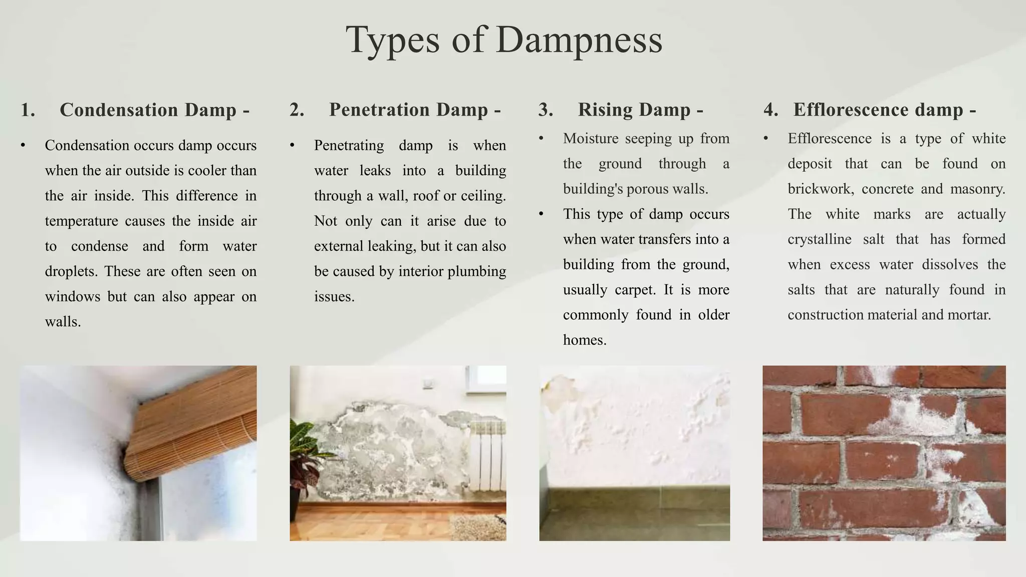 Dampness in Architecture.pptx