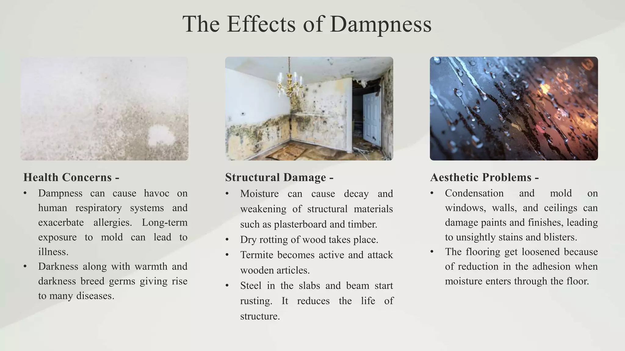 Dampness in Architecture.pptx