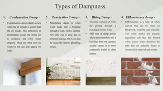 Dampness in Architecture.pptx