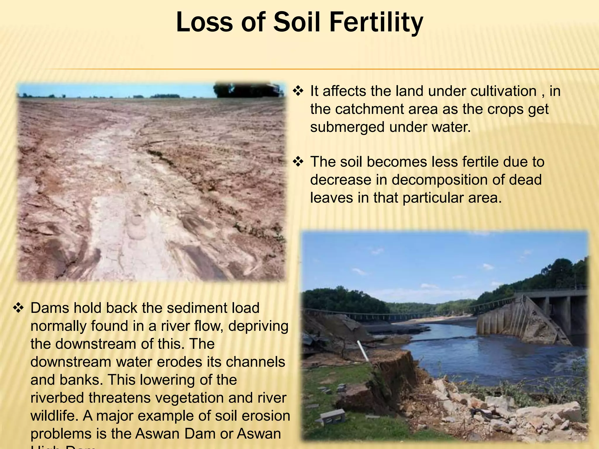 Dams and their Effects on forests and tribal people | PPTX