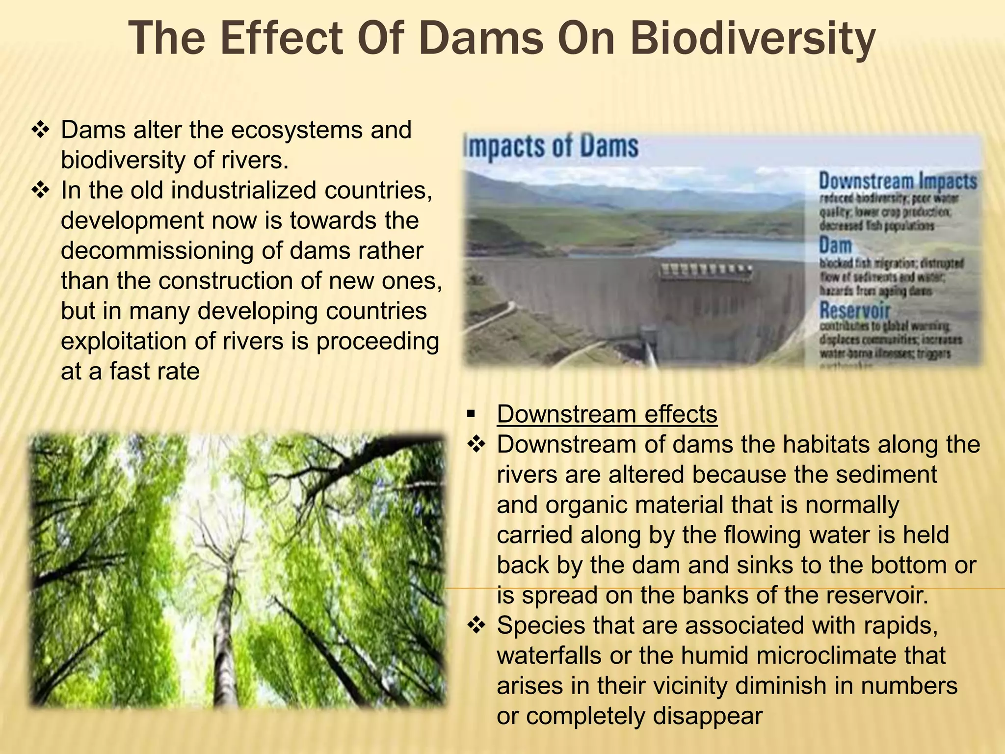 Dams and their Effects on forests and tribal people | PPTX