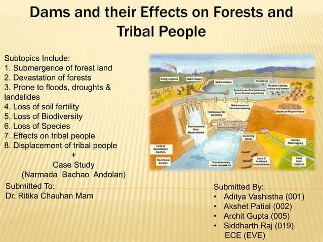 Dams and their Effects on forests and tribal people | PPTX