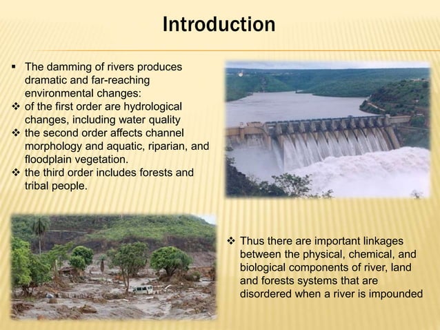 Dams and their Effects on forests and tribal people | PPTX
