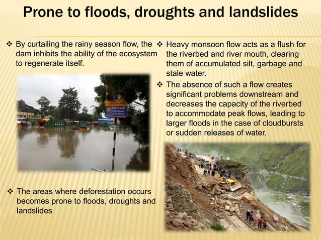 Dams and their Effects on forests and tribal people | PPTX