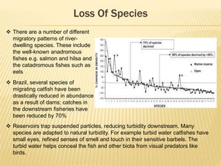 Dams and their Effects on forests and tribal people | PPTX
