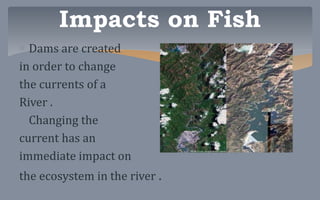 Dams and their role in environment. | PPT