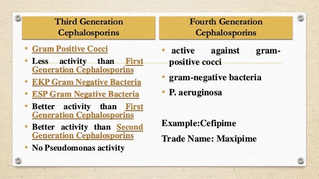 cephalosporin