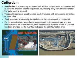 Dams & environment | PPTX