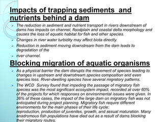 Dams & environment | PPTX
