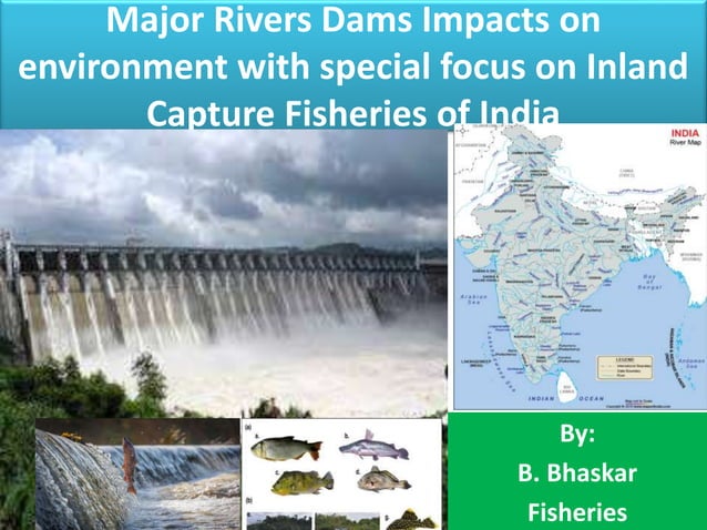 Dams Impacts on environment with special focus on Wild Fisheries.pptx