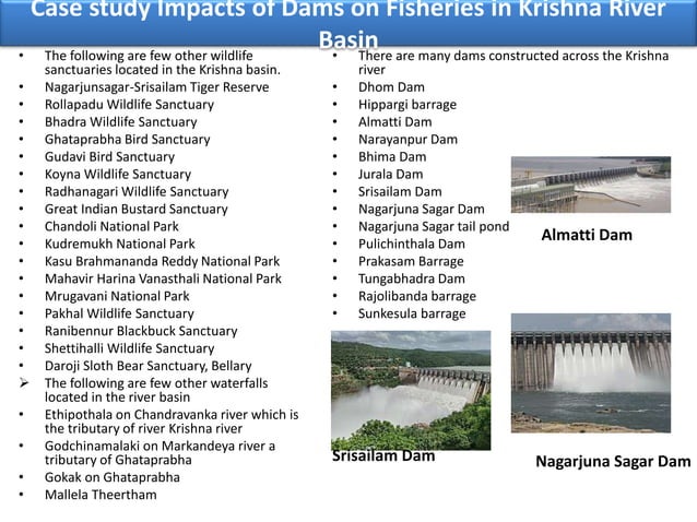 Dams Impacts on environment with special focus on Wild Fisheries.pptx