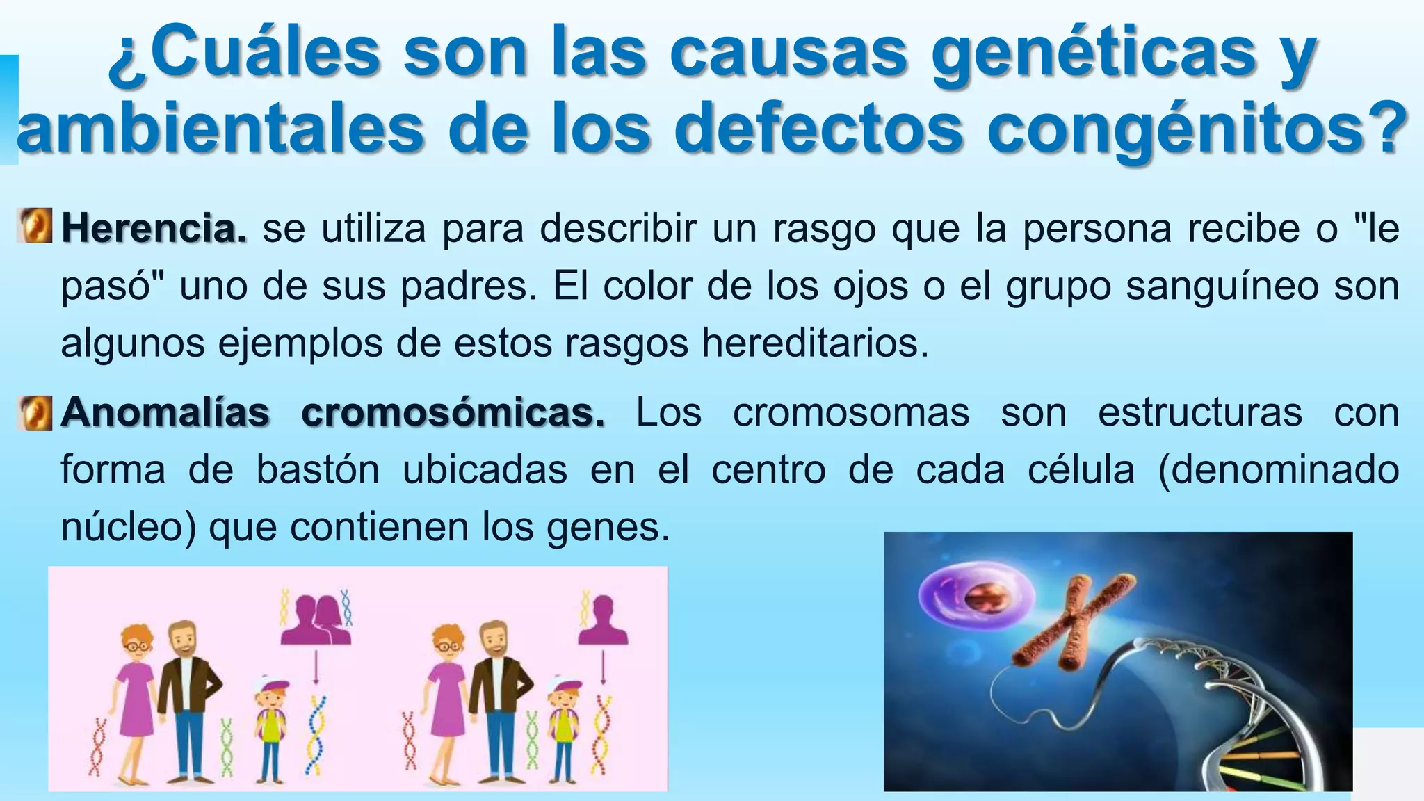 Día mundial de los defectos congénitos | PPT