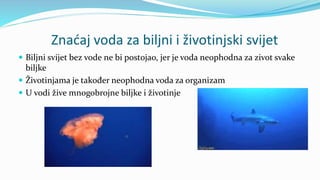 Dan voda-22.-mart | PPTX