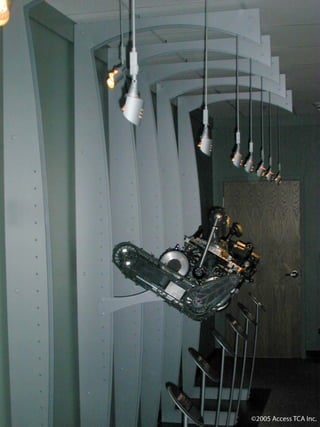 Dana Esposito Access Tca Inc | PDF