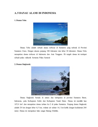 Danau buatan dan alami | DOCX