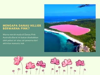 Danau Pink.pdf