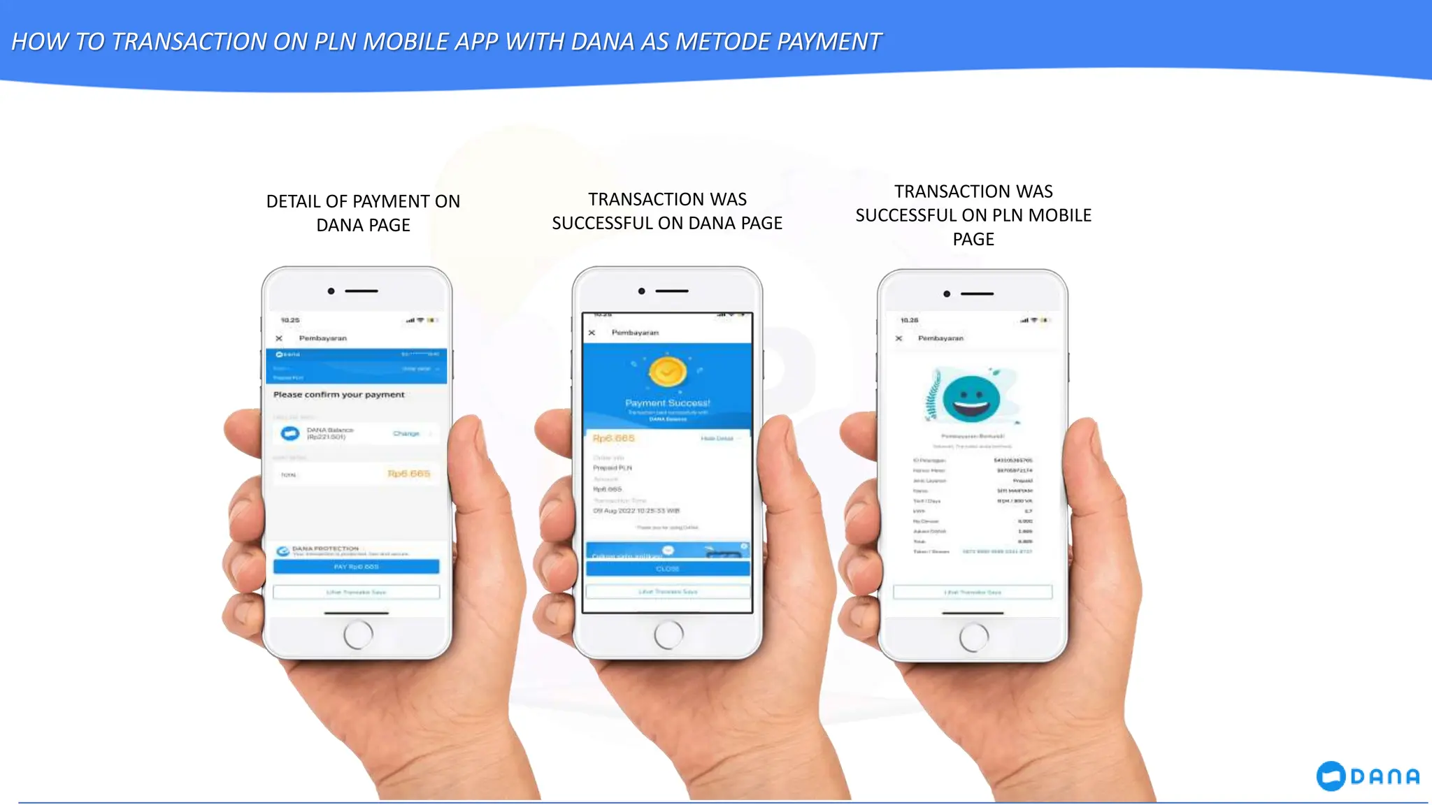DANA X PLN Mobile App.pptx